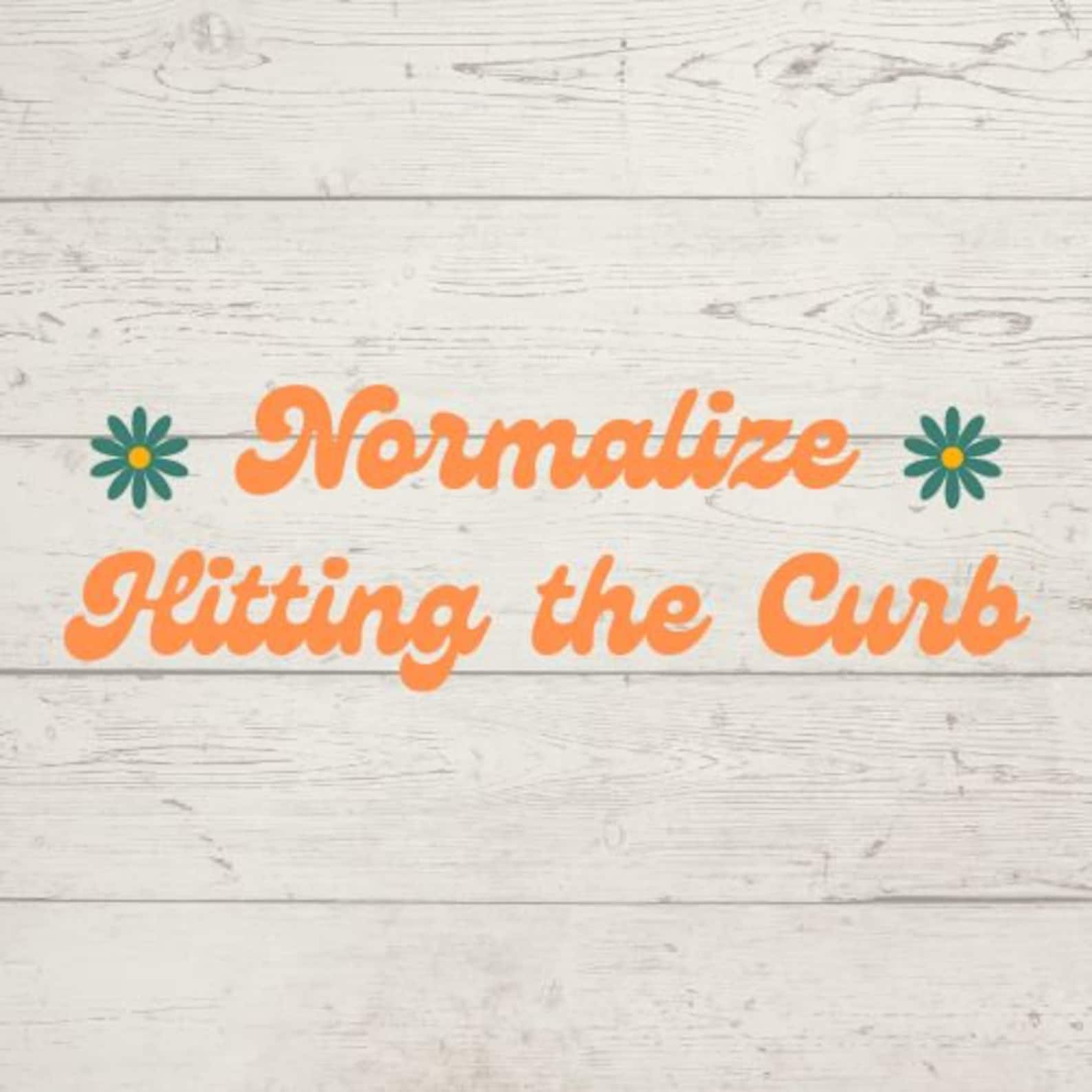 Normalize Hitting the Curb // Funny Car Decal SVG - Etsy