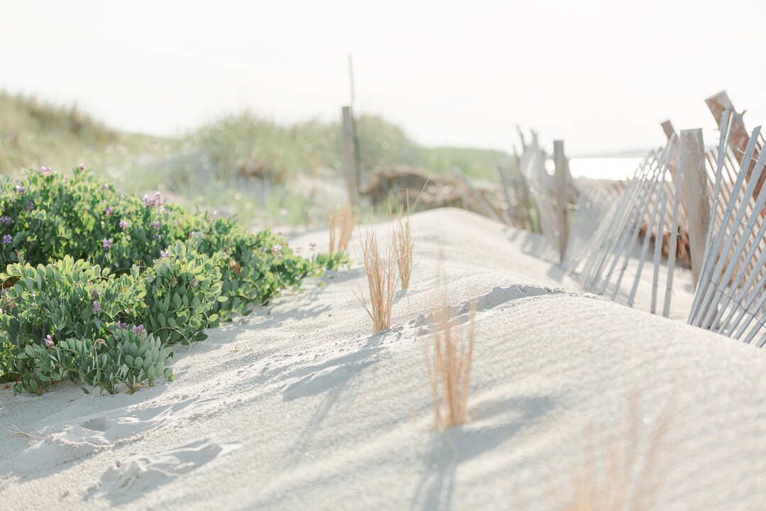 Cape Cod Fine Art Photography - Instant Digital Download - Dunes - Etsy