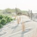 Cape Cod Fine Art Photography Instant Digital Download Dunes - Etsy