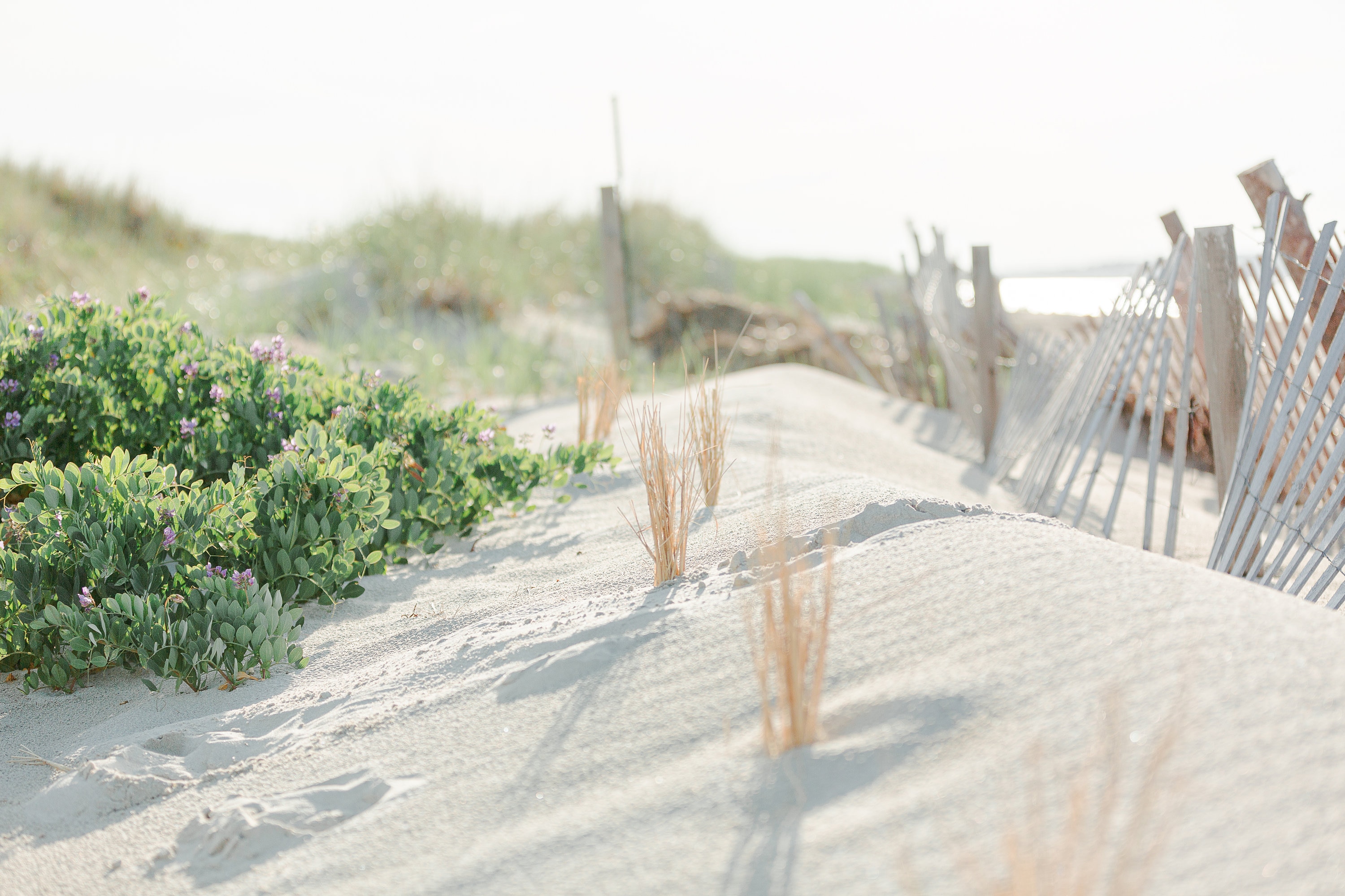 Cape Cod Fine Art Photography - Instant Digital Download - Dunes - Etsy