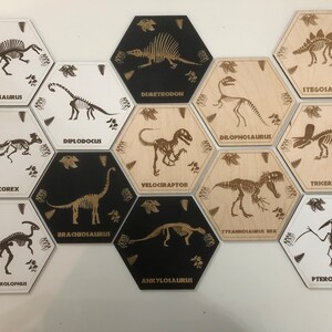 Dinosaur Wall Art Dinosaur Fossil Art Dinosaur Bedroom Decor Dinosaur ...