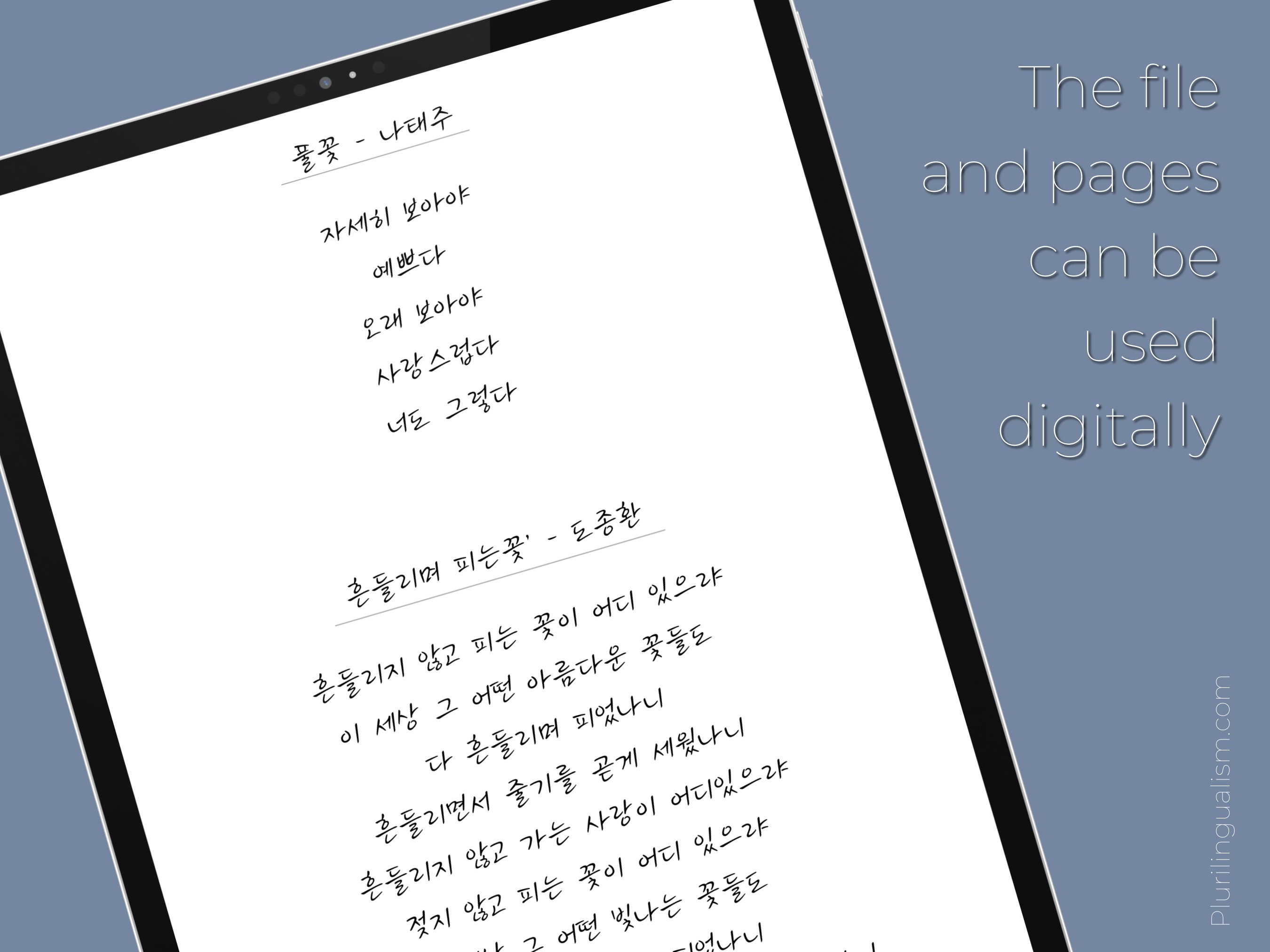 Korean Hangul Handwriting Worksheets | 한글 Handwriting Practice, Korean ...