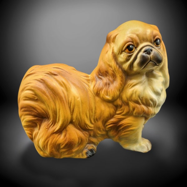 Vintage Pekingese - Etsy