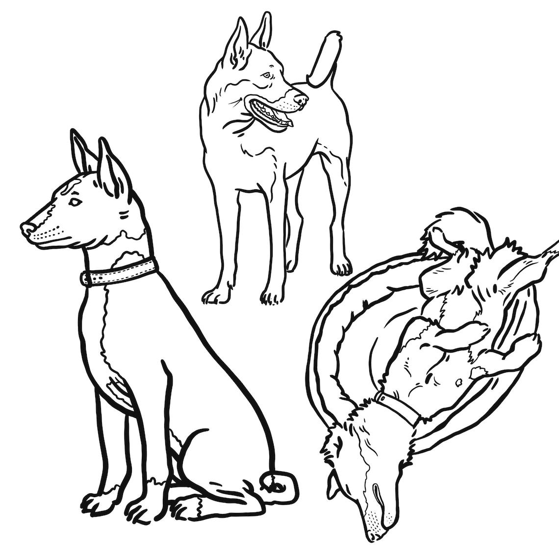 DOGS Coloring Pages. 35 Coloring Pages Celebrating the Diversity and ...