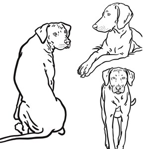 DOGS Coloring Pages. 35 Coloring Pages Celebrating the Diversity and ...