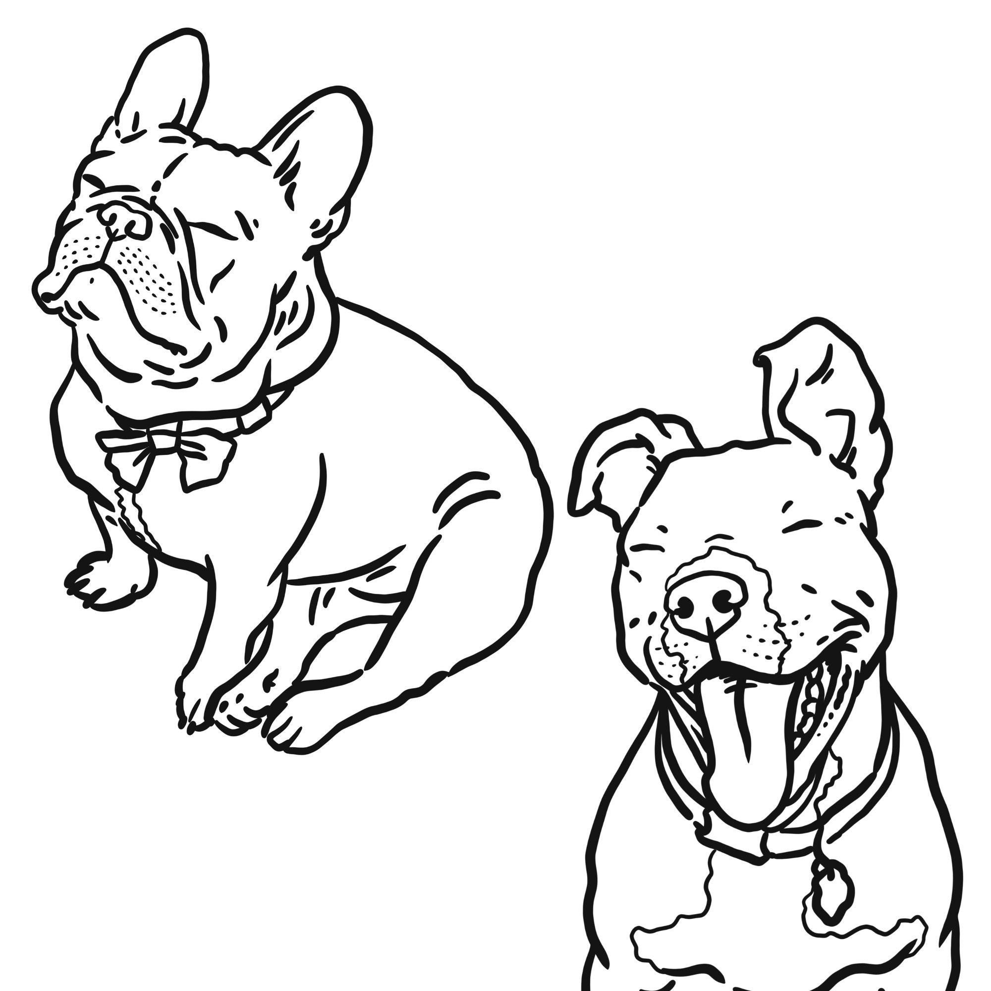 DOGS Coloring Pages. 35 Coloring Pages Celebrating the Diversity and ...