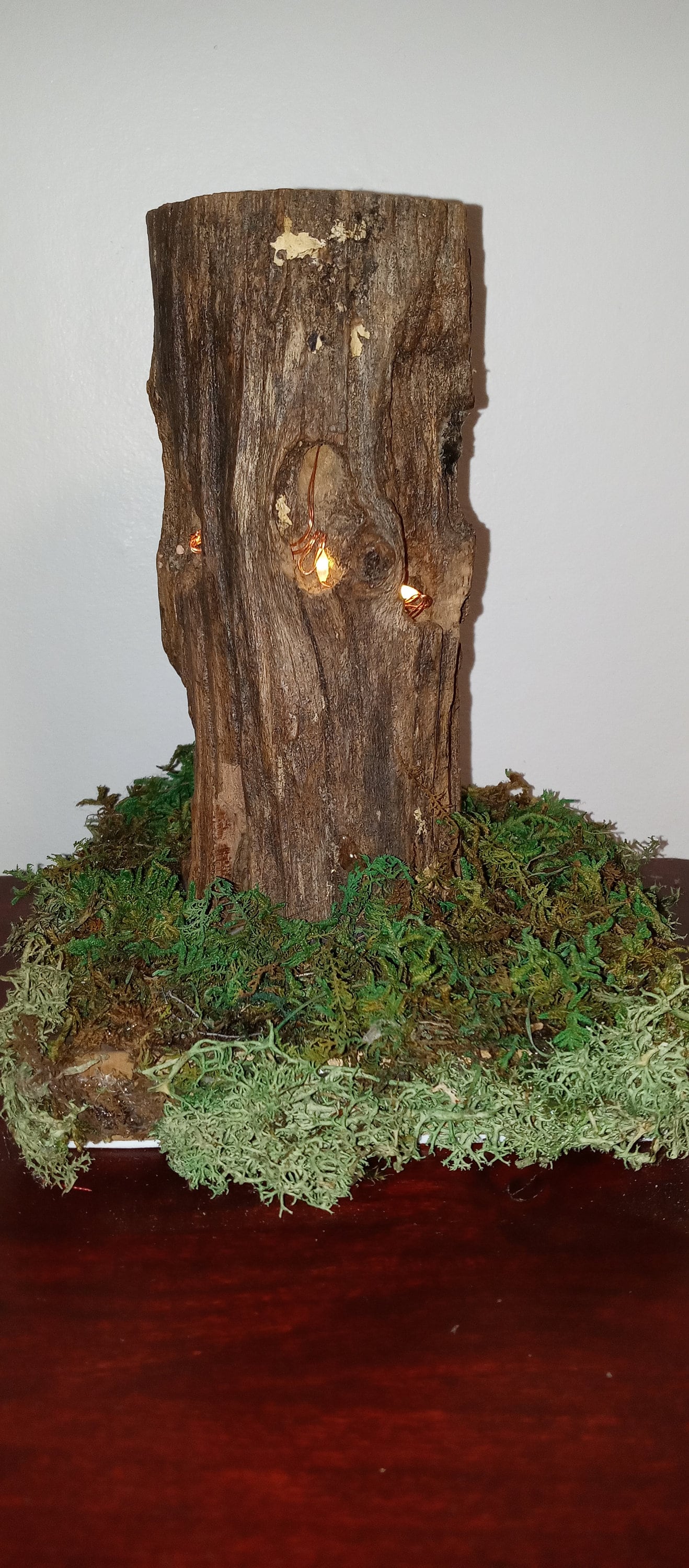 Fantasy Fairy \ Elf Lamp With Battery Operated Lights - Etsy