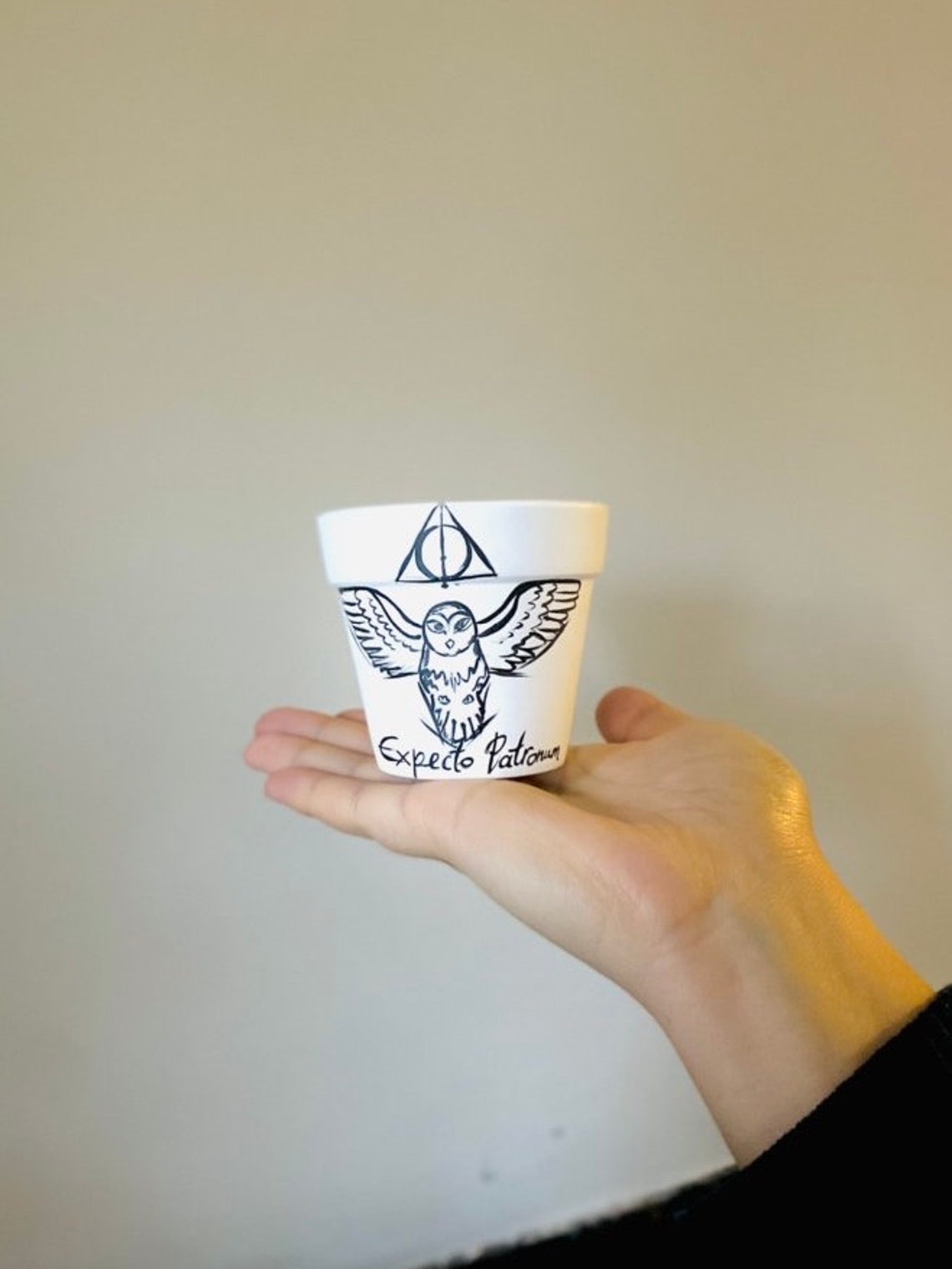 Harry Potter Pots - Etsy