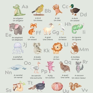 Animal Alphabet French and English, Educational Poster, Nursery Decor ...