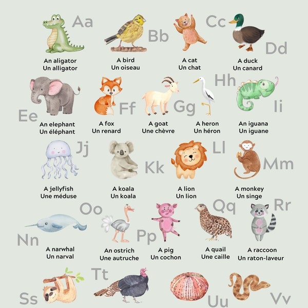 Educational Poster - Etsy