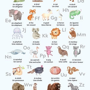 Animal Alphabet French and English, Educational Poster, Nursery Decor ...