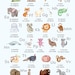 Animal Alphabet French and English, Educational Poster, Nursery Decor ...