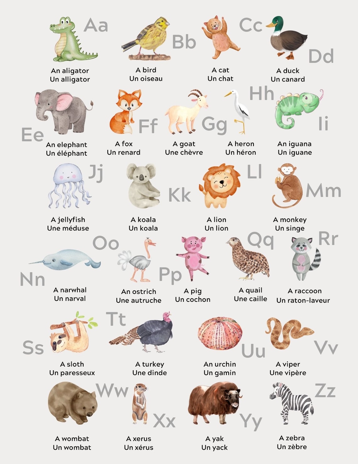 Animal Alphabet French and English, Educational Poster, Nursery Decor ...