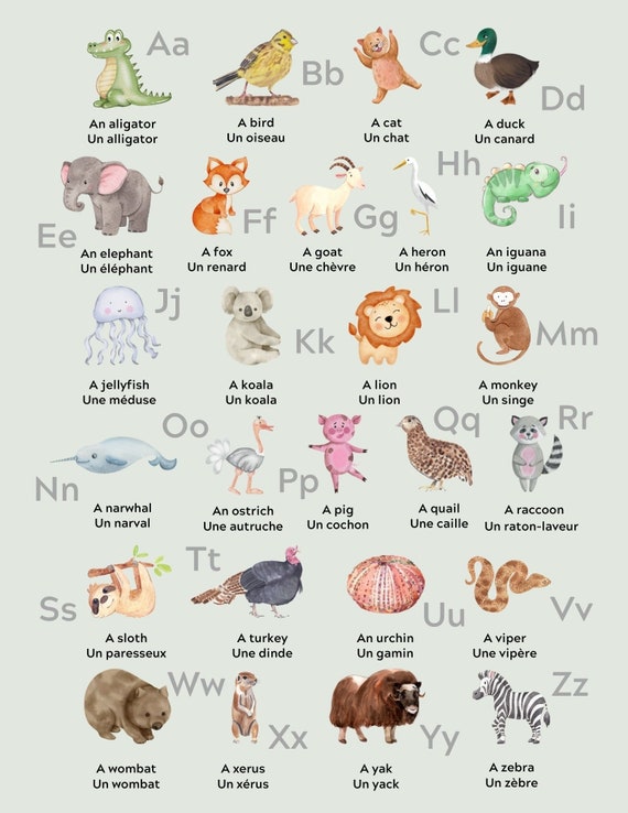Animals That Start With V In French