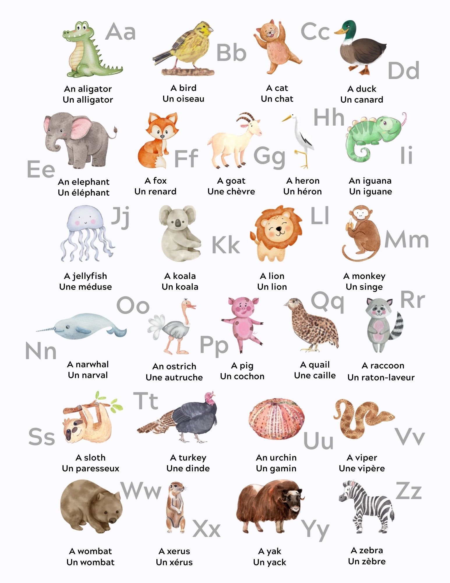 Animal Alphabet French and English, Educational Poster, Nursery Decor ...