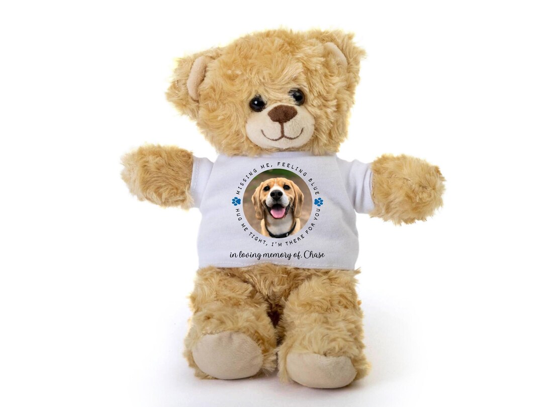 Custom Beagle Dog Remembrance Teddy Bear for Loss of Dog Pet Gift Ideas ...