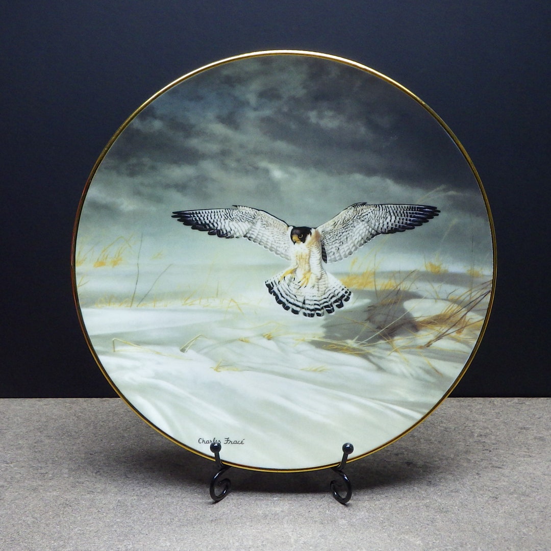 Vintage Artist Charles Frace the Peregrine Falcon Limited - Etsy