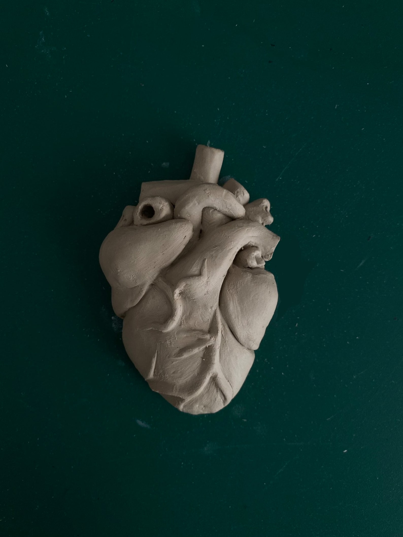 Handmade Anatomical Human Heart Sculpture in a Frame Clay Art - Etsy