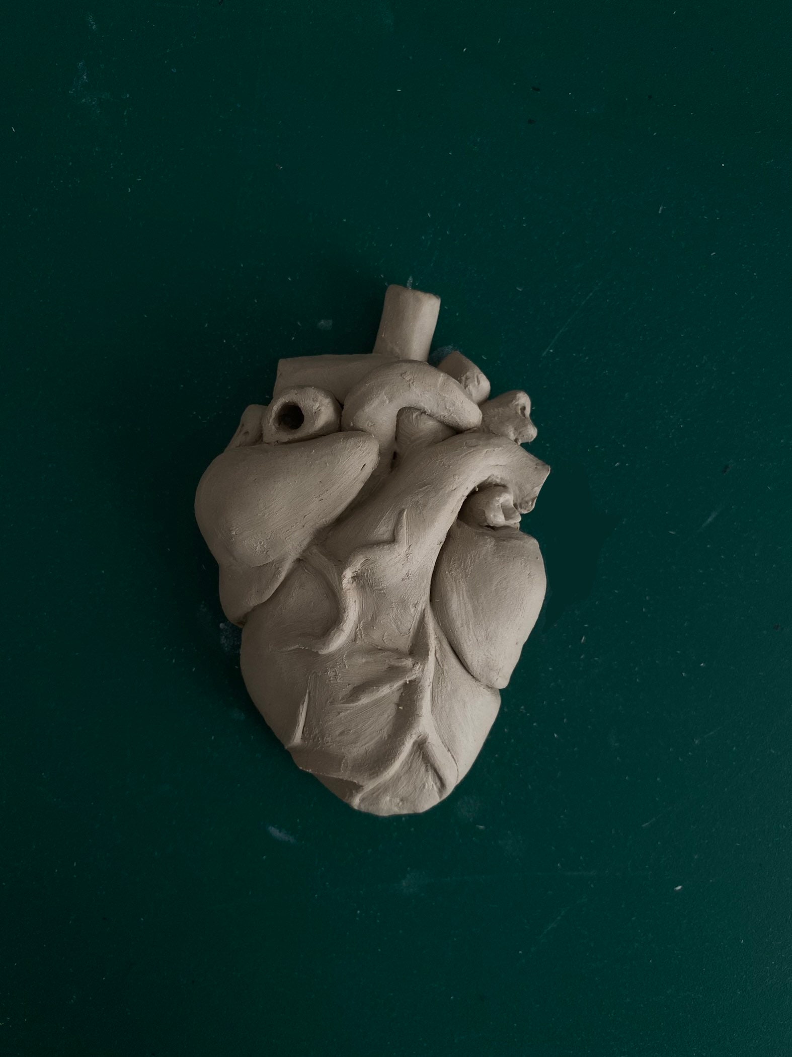Handmade Anatomical Human Heart Sculpture in a Frame Clay Art - Etsy