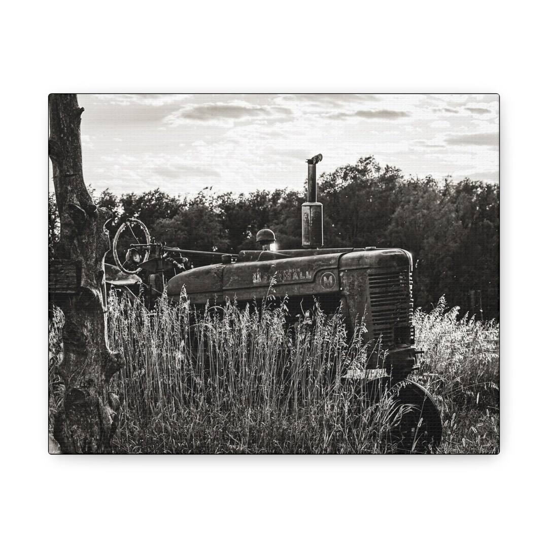 Farmall M Tractor Canvas Wall Art International Harvester Tractors Home ...
