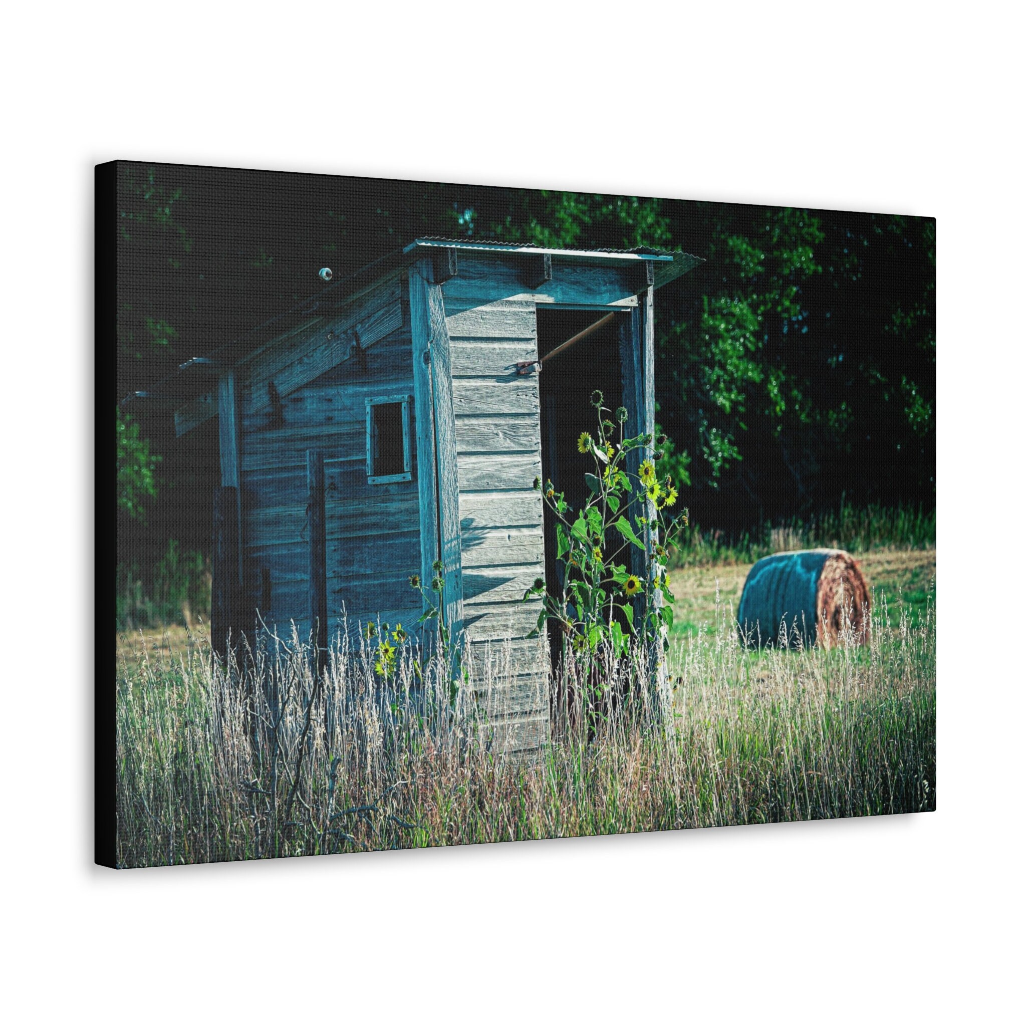 Old Outhouse and Sunflower Picture Canvas Print Perfect Farmhouse ...