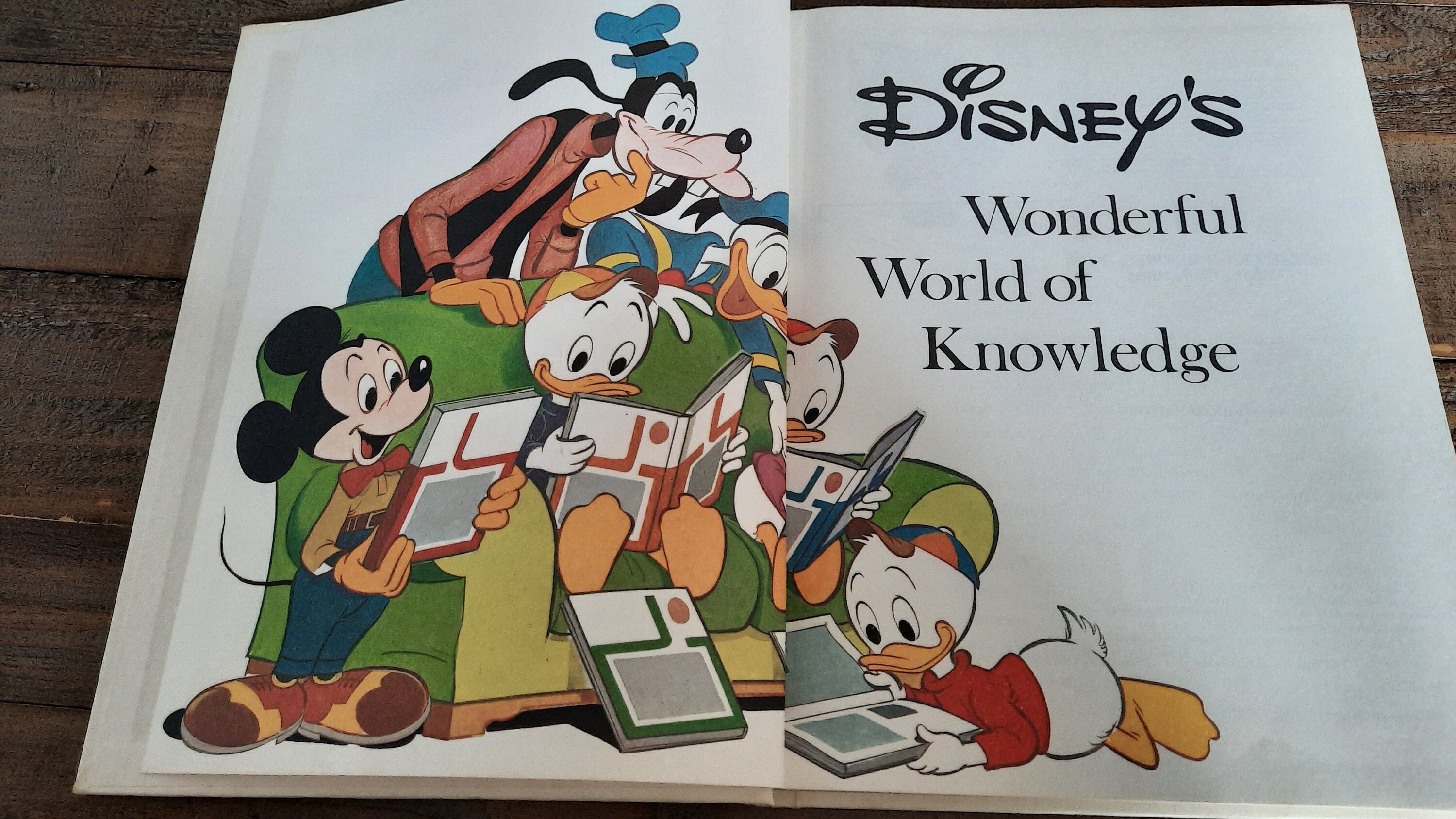 2 Disney Wonderful World of Knowledge Books - Etsy
