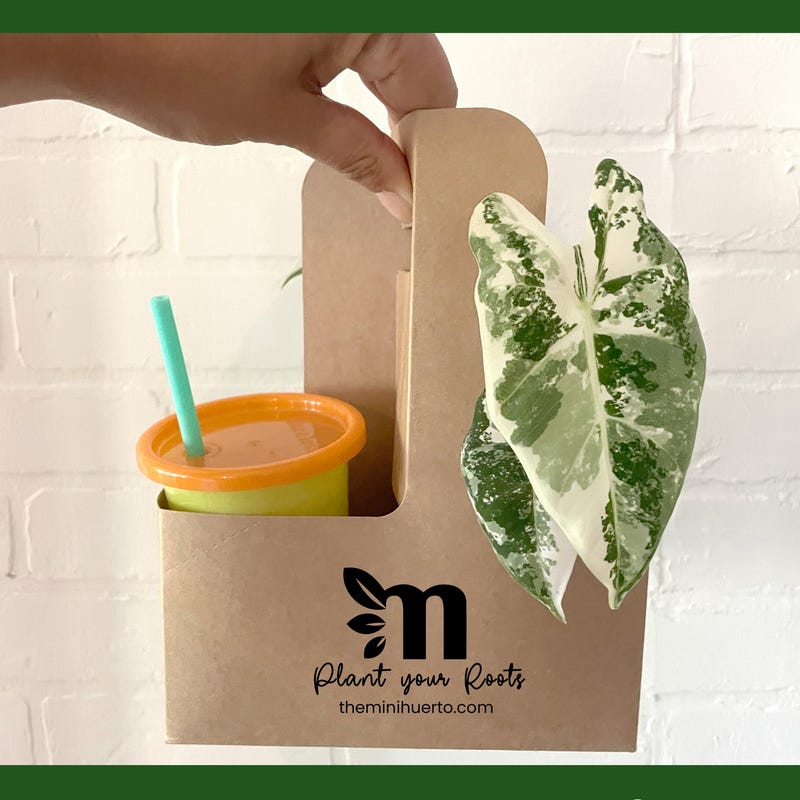 Kraft Paper Flower Box - Etsy