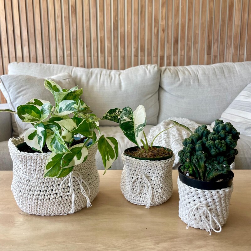 Macrame Pot Cover - Etsy