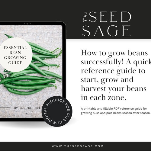 Companion Planting Guide - Etsy