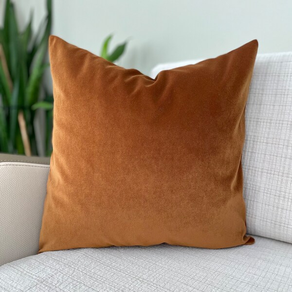 Camel Velvet Pillow - Etsy