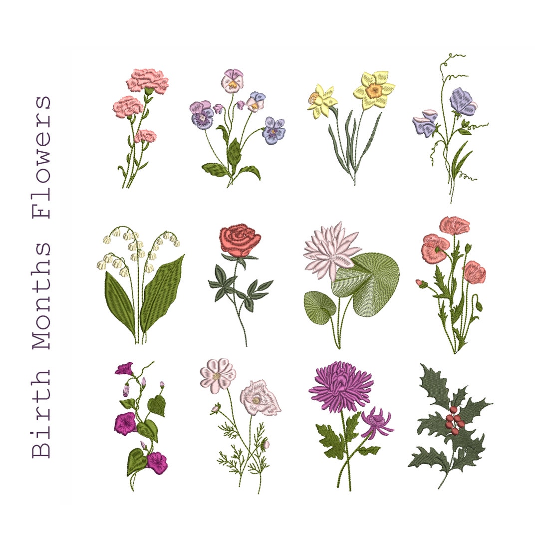 12 Birth Months Flowers Set Machine Embroidery Design, Floral Botanical ...