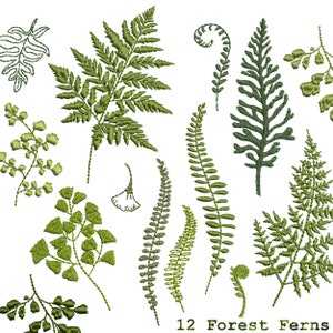 12 Fern Branches for Machine Embroidery Design Botanical Wedding Branch ...