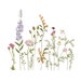 Wild Flower Machine Embroidery Design, Botanical Flowers Pattern ...