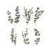 Unique Fern Font Alphabet Monogram Machine Embroidery Design, Script ...