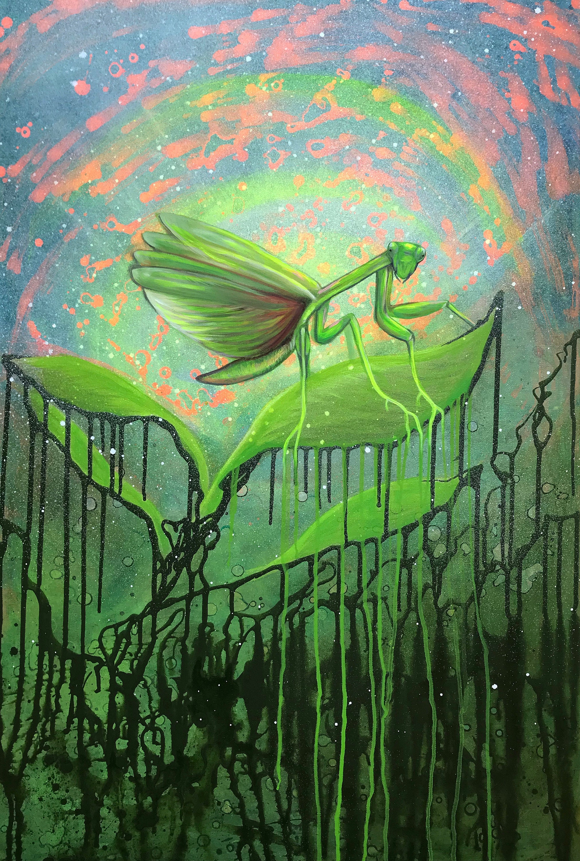 Magical Mantis - Etsy