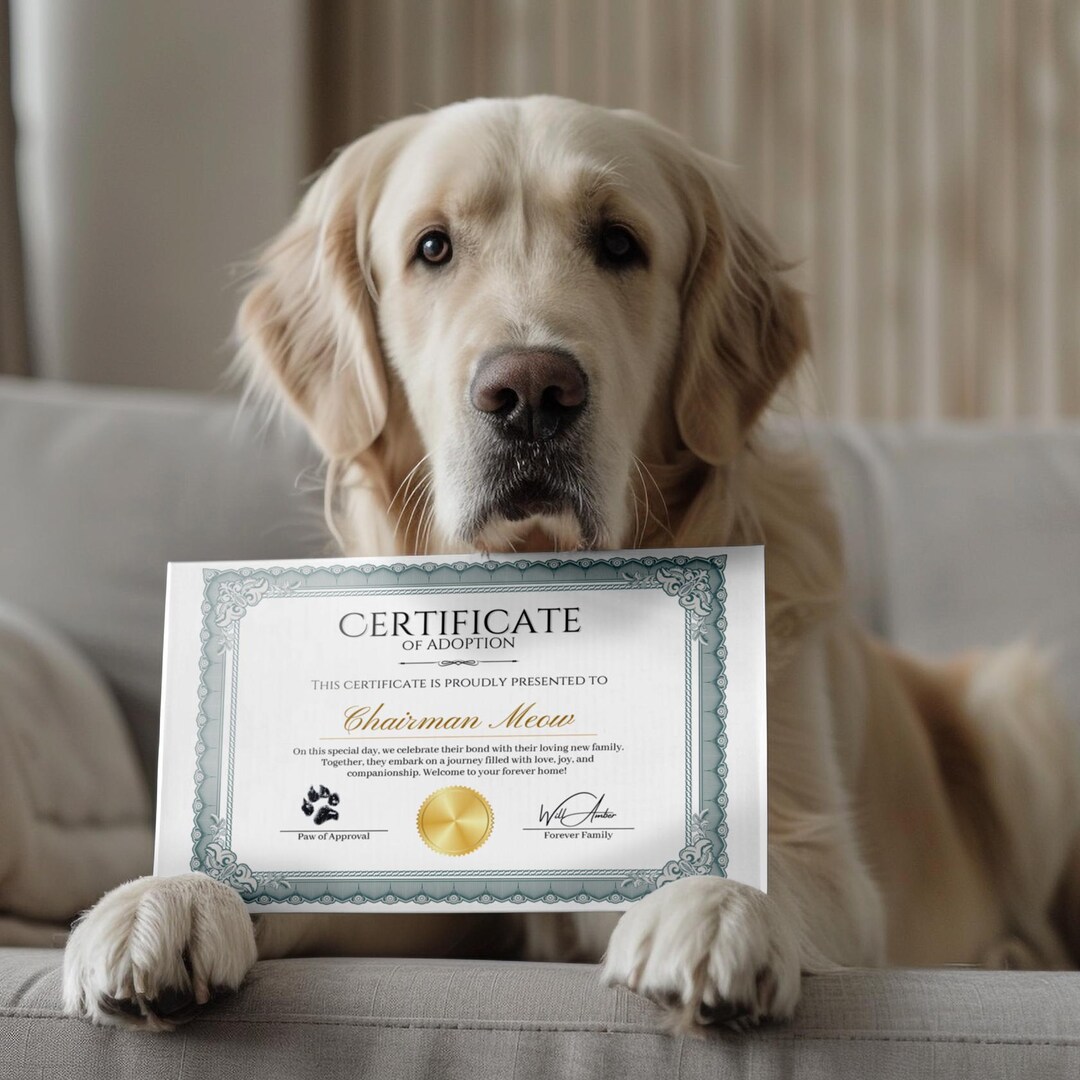 Personalized Pet Adoption Certificate With Foiled Seal – Customizable ...