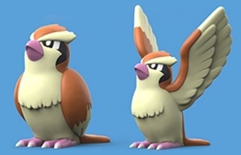Pidgey 3D Printed Models - Etsy