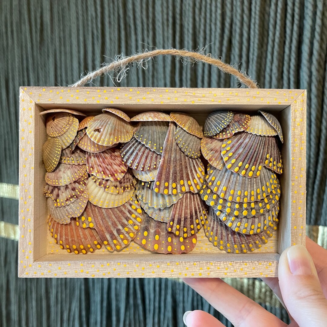 Salt Life Seashell Shadow Box Natural Seashell Home Decor Handmade ...