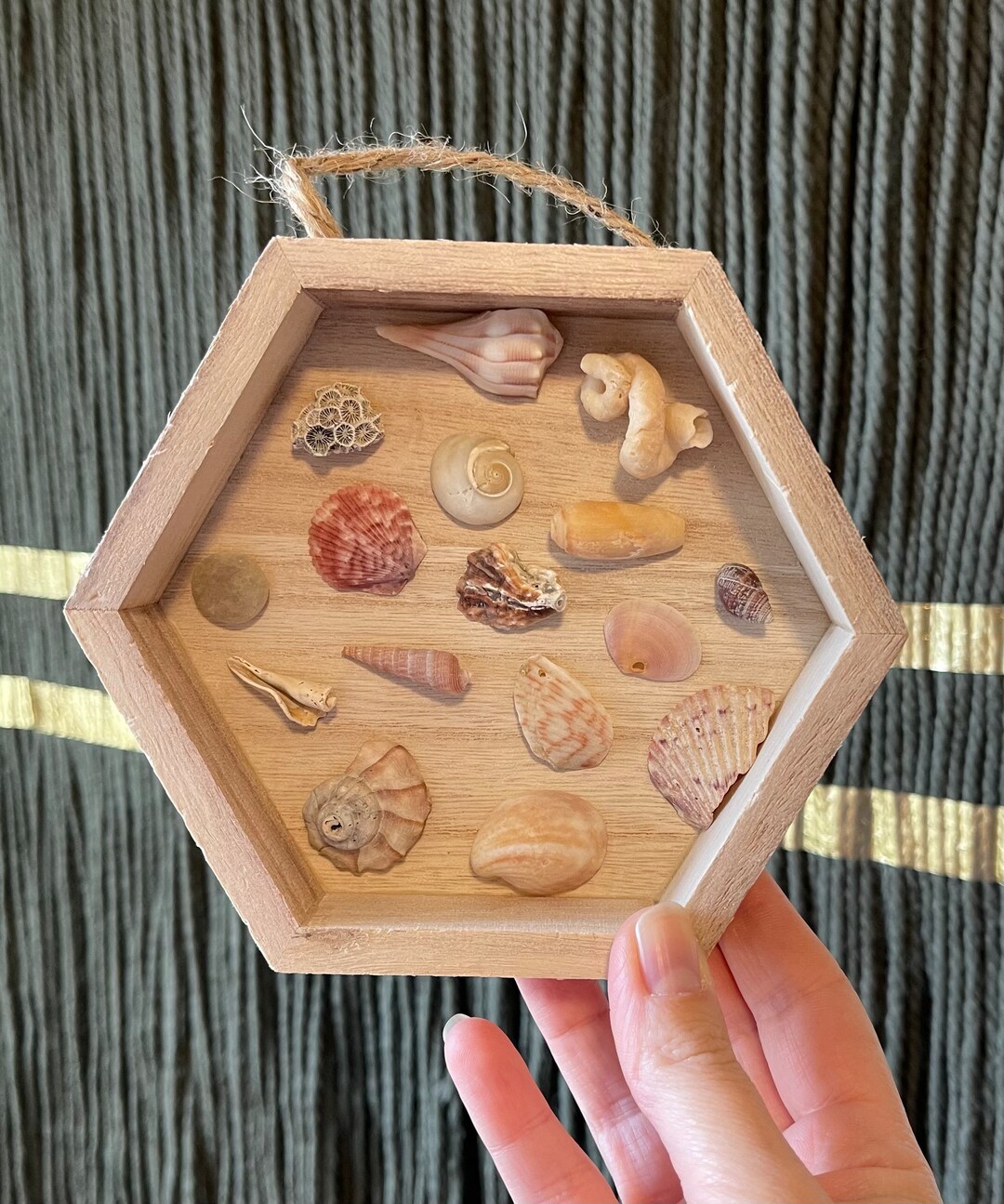 Seashell Shadow Box Mixed Shells Home Decor Handmade - Etsy