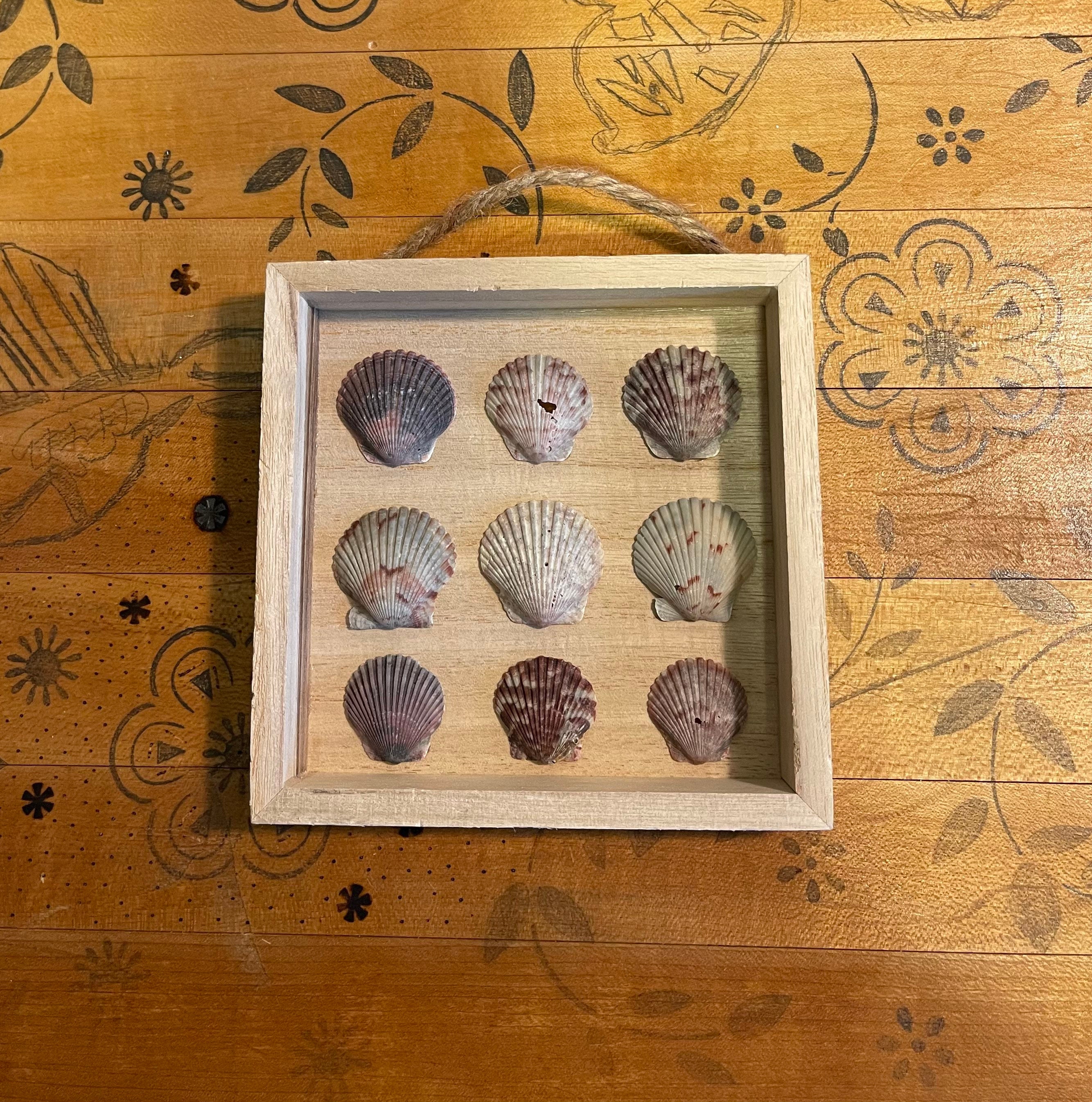 Shadow Box, Sea Shell Shadow Box, Coastal Decor, Shell Art, Wall Art ...