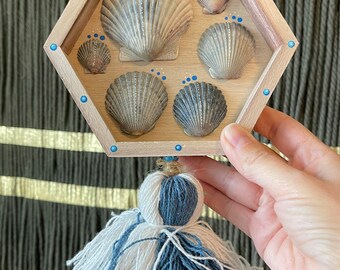 Shadow Box, Sea Shell Shadow Box, Coastal Decor, Shell Art, Wall Art ...