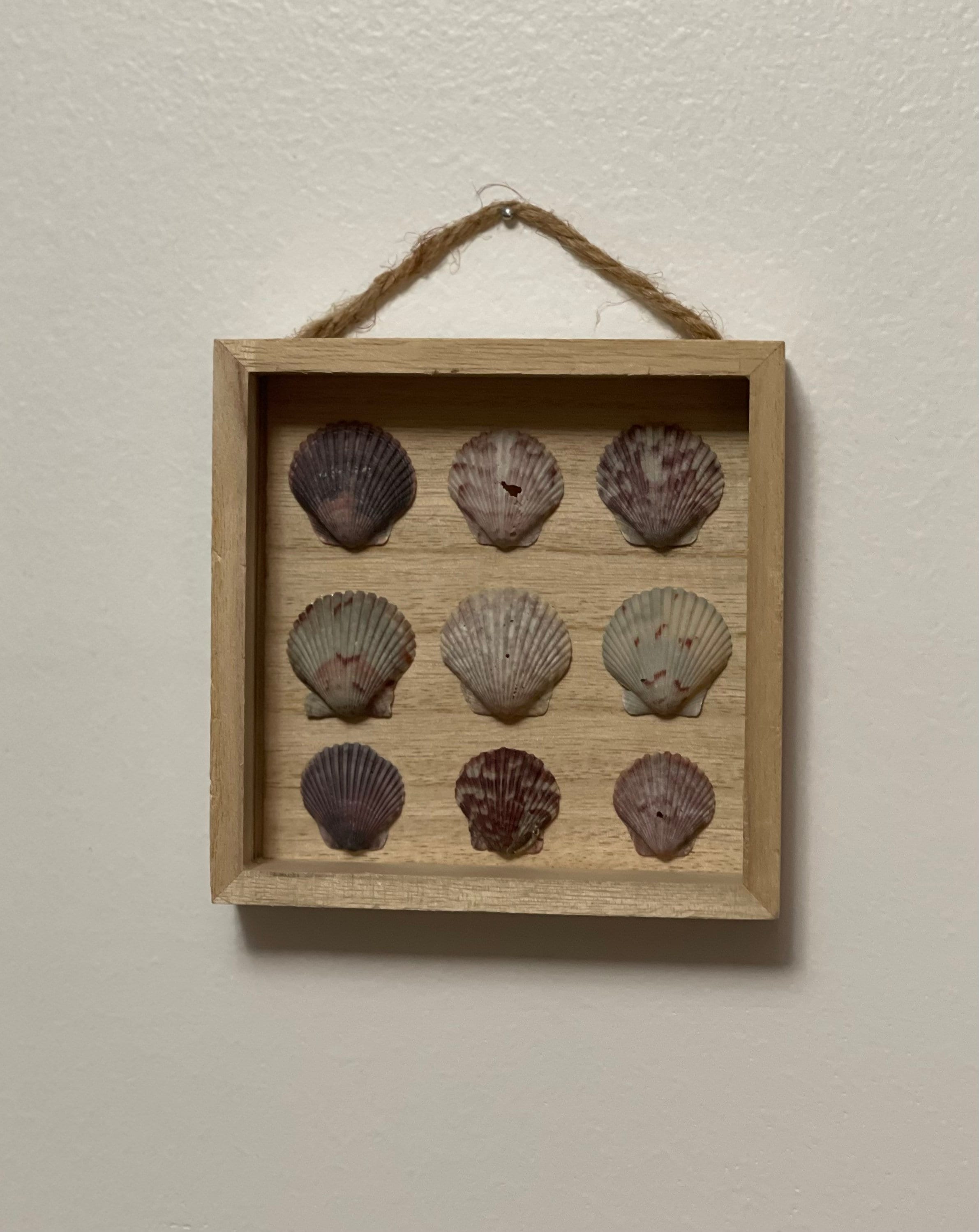 Shadow Box, Sea Shell Shadow Box, Coastal Decor, Shell Art, Wall Art ...