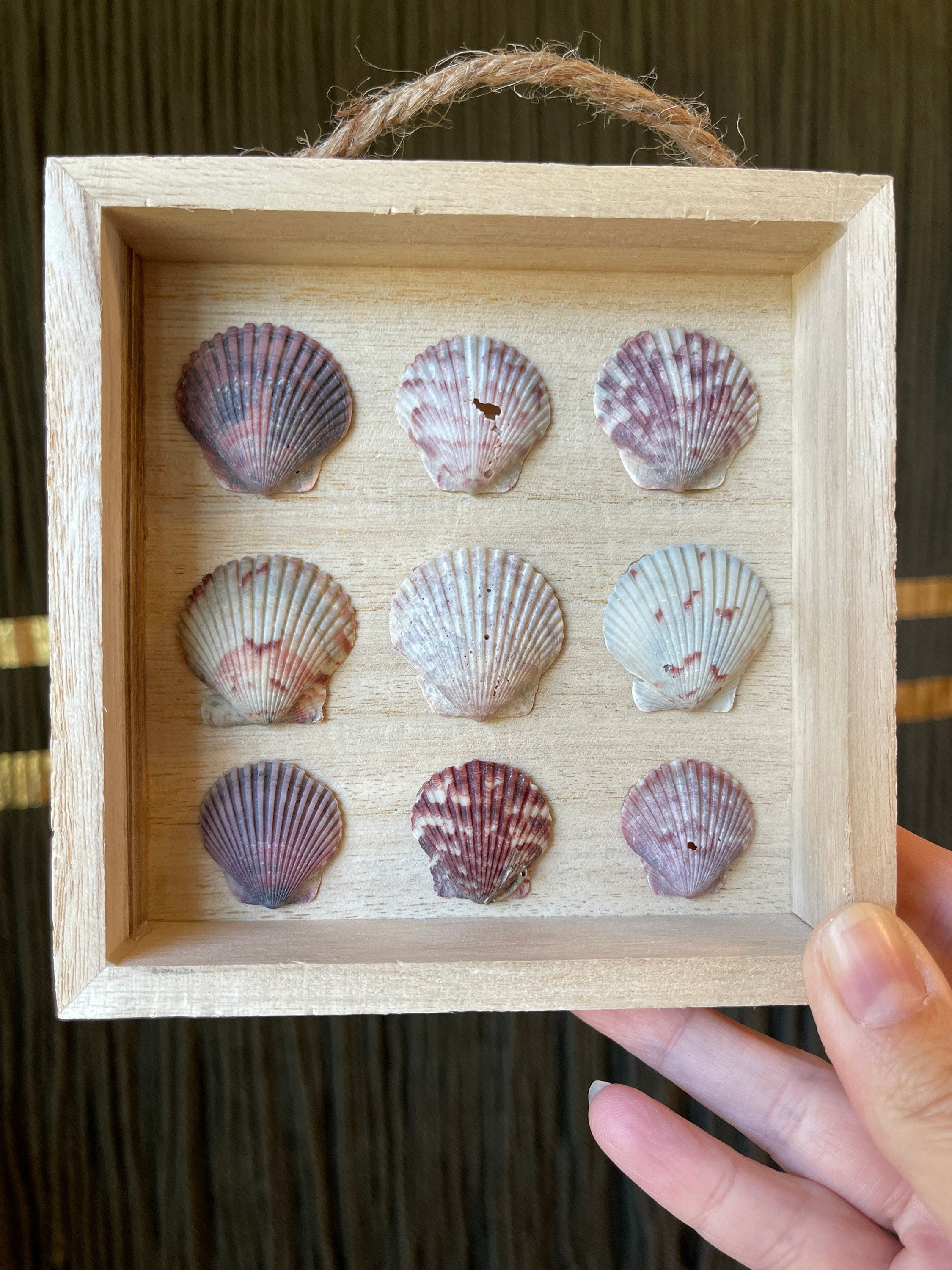 Shadow Box, Sea Shell Shadow Box, Coastal Decor, Shell Art, Wall Art ...