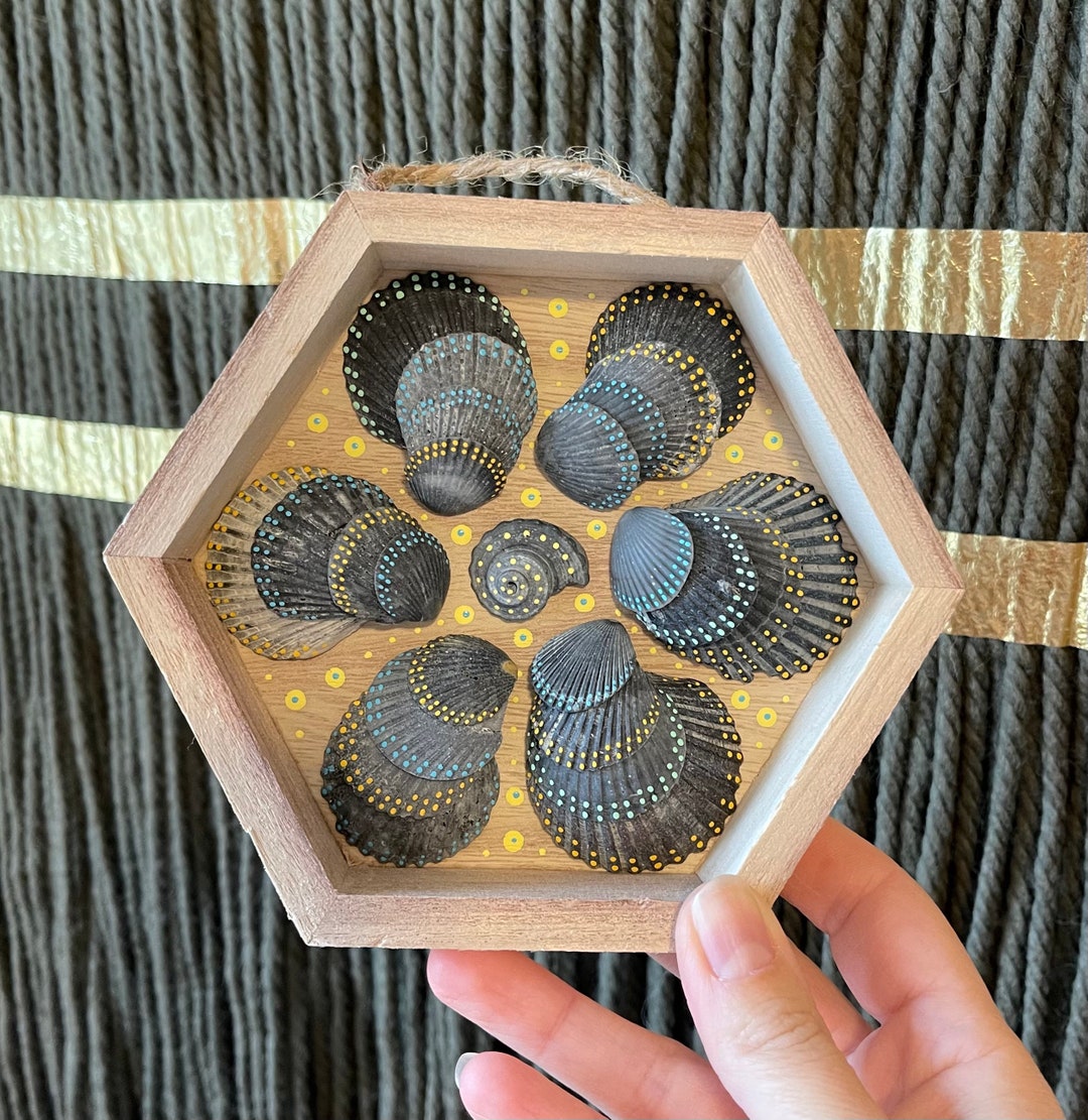 Honeycomb Painted Seashell Shadow Box Natural Seashell Home Decor Beach ...