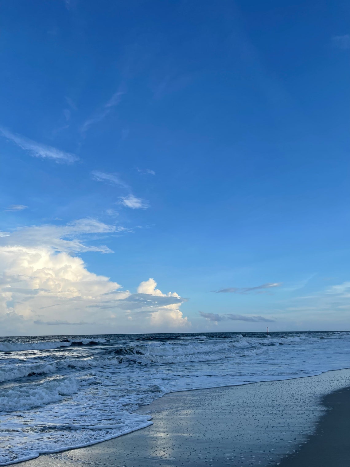 Shadow Box, Sea Shell Shadow Box, Coastal Decor, Shell Art, Wall Art ...