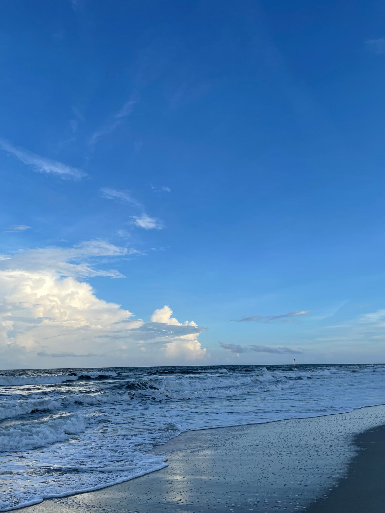 Shadow Box, Sea Shell Shadow Box, Coastal Decor, Shell Art, Wall Art ...