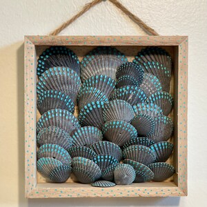 Multiple Seashell Shadow Box Natural Seashell Home Decor Handmade ...