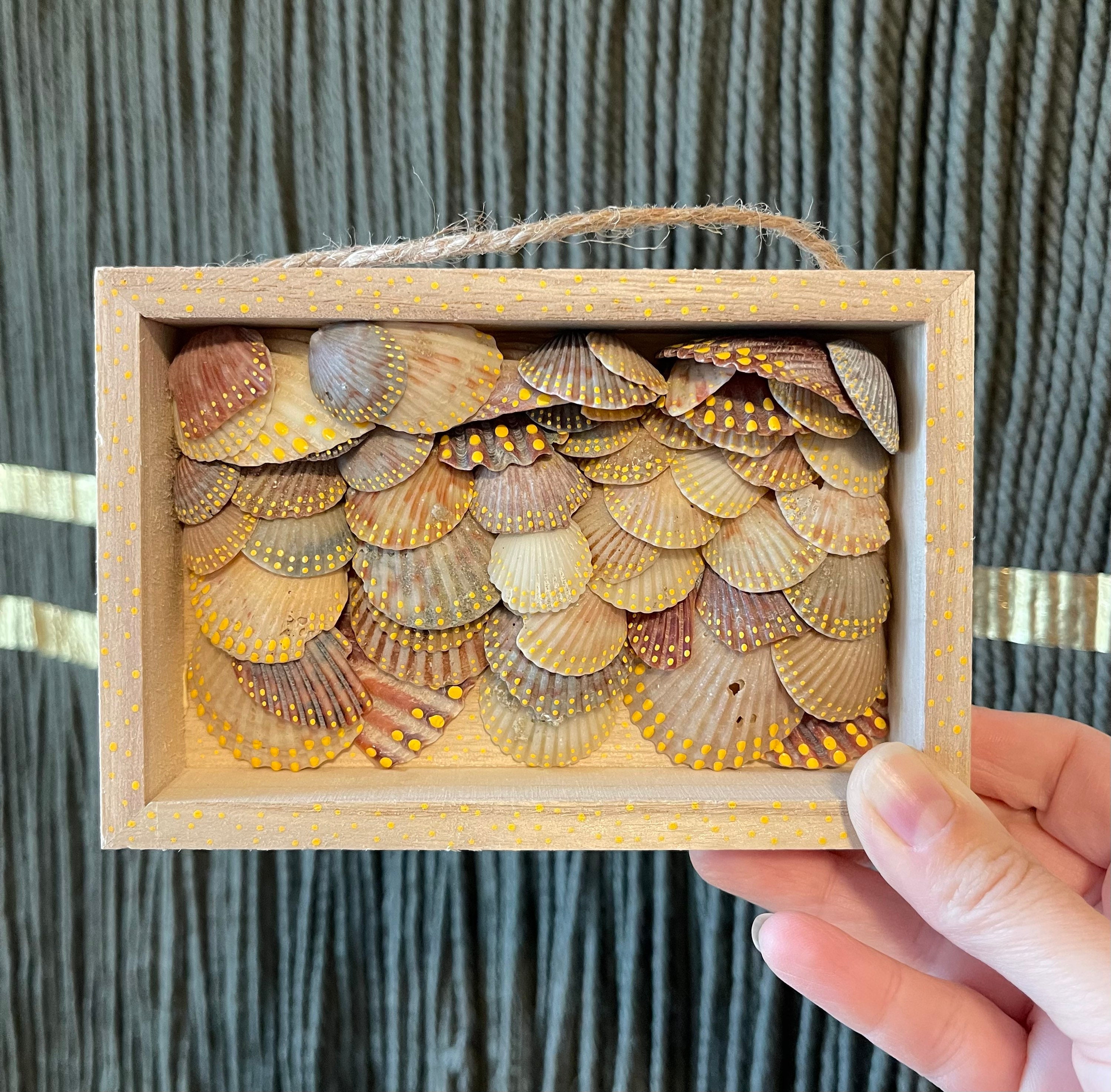 Seashell Shadow Box Craft