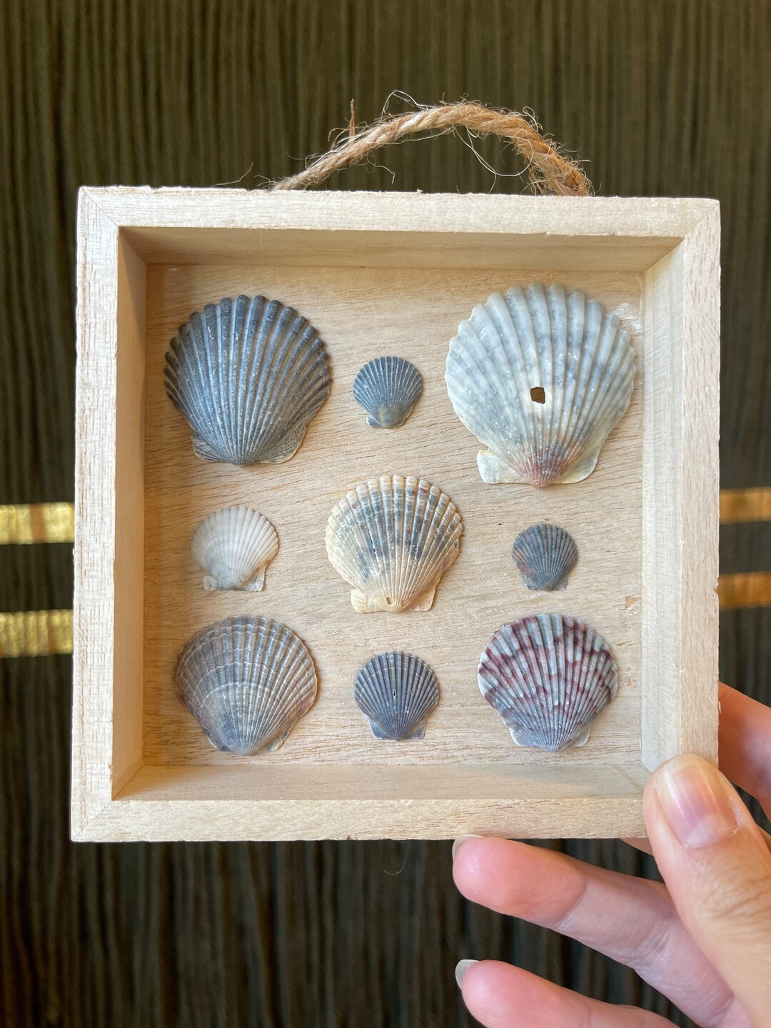 Seashell Shadow Box Nautical Ocean Gift Coastal Handmade Nautical Box ...