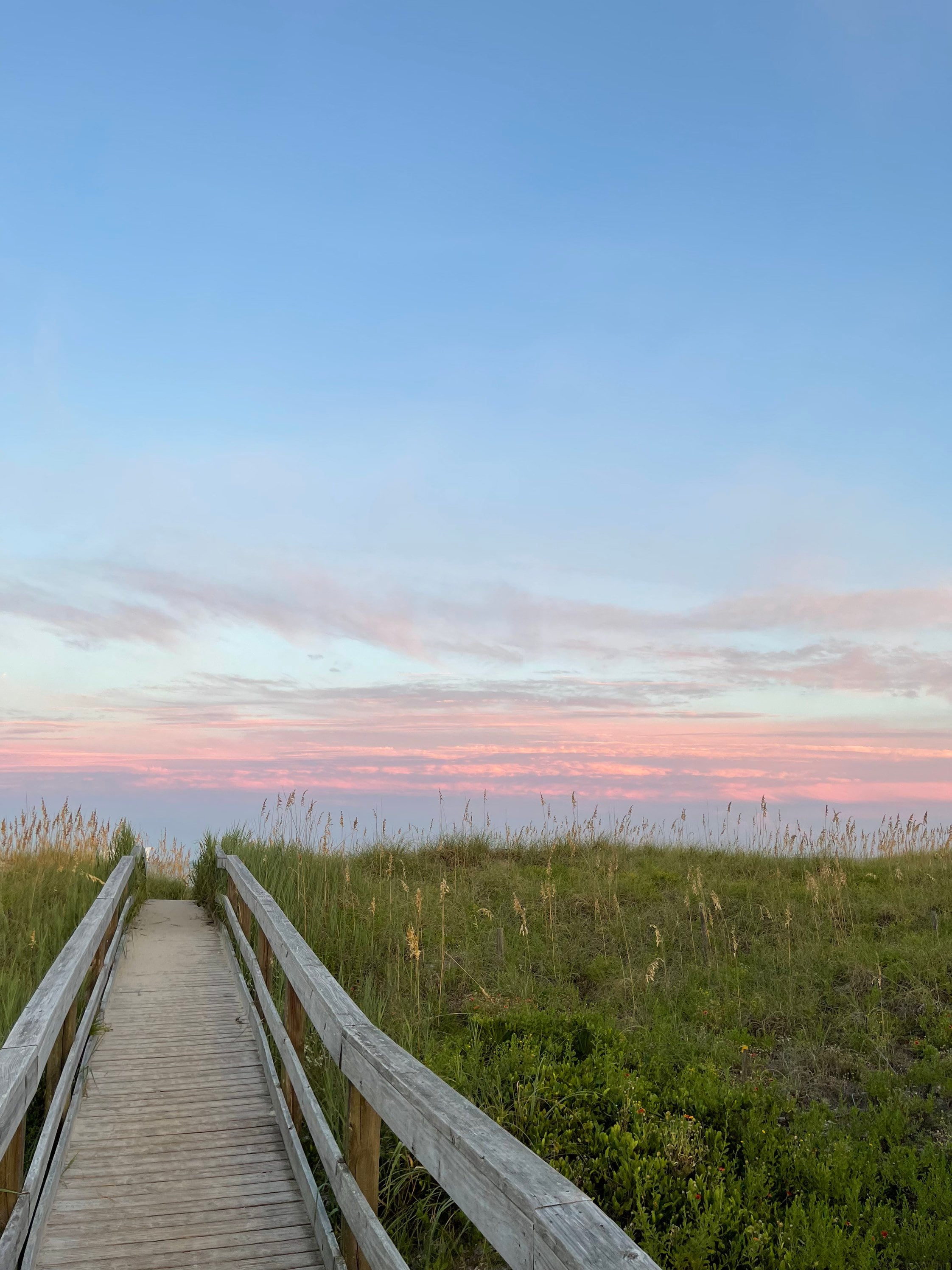 Shadow Box, Sea Shell Shadow Box, Coastal Decor, Shell Art, Wall Art ...